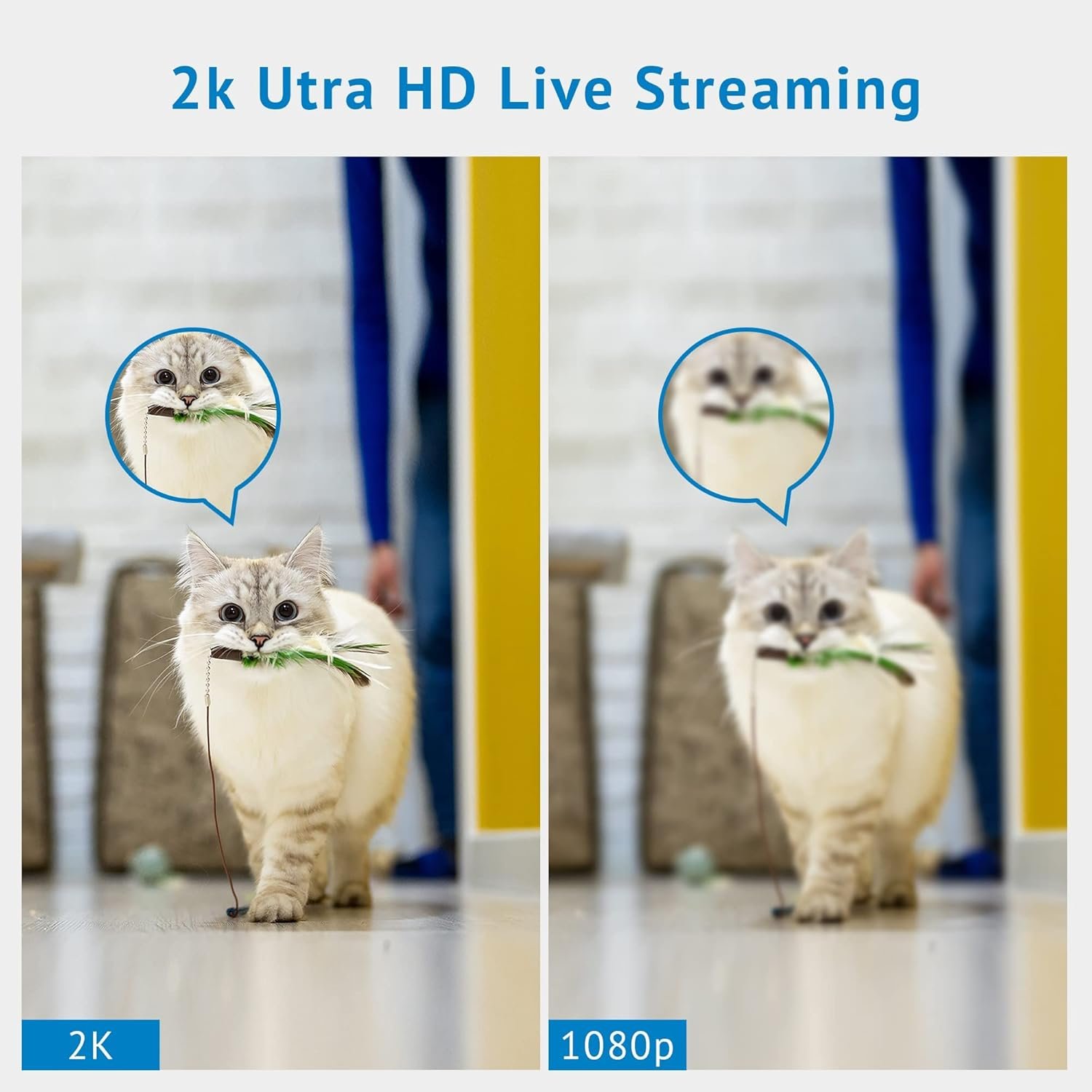 LaView 4MP 2K Cameras Review – InnovativeGizmosl